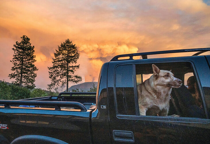 Fierce storm winds complicate wildfire fight | News, Sports, Jobs ...
